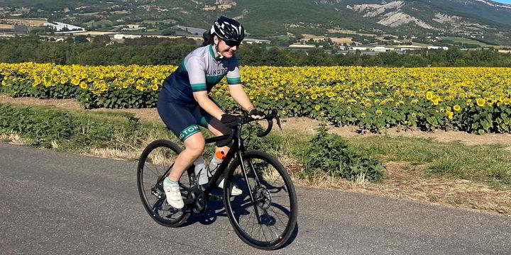 Pioneering, inclusive and focused Karrie Trauth on the ‘power of ...