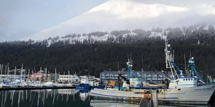 Alaska processor names new COO | IntraFish.com