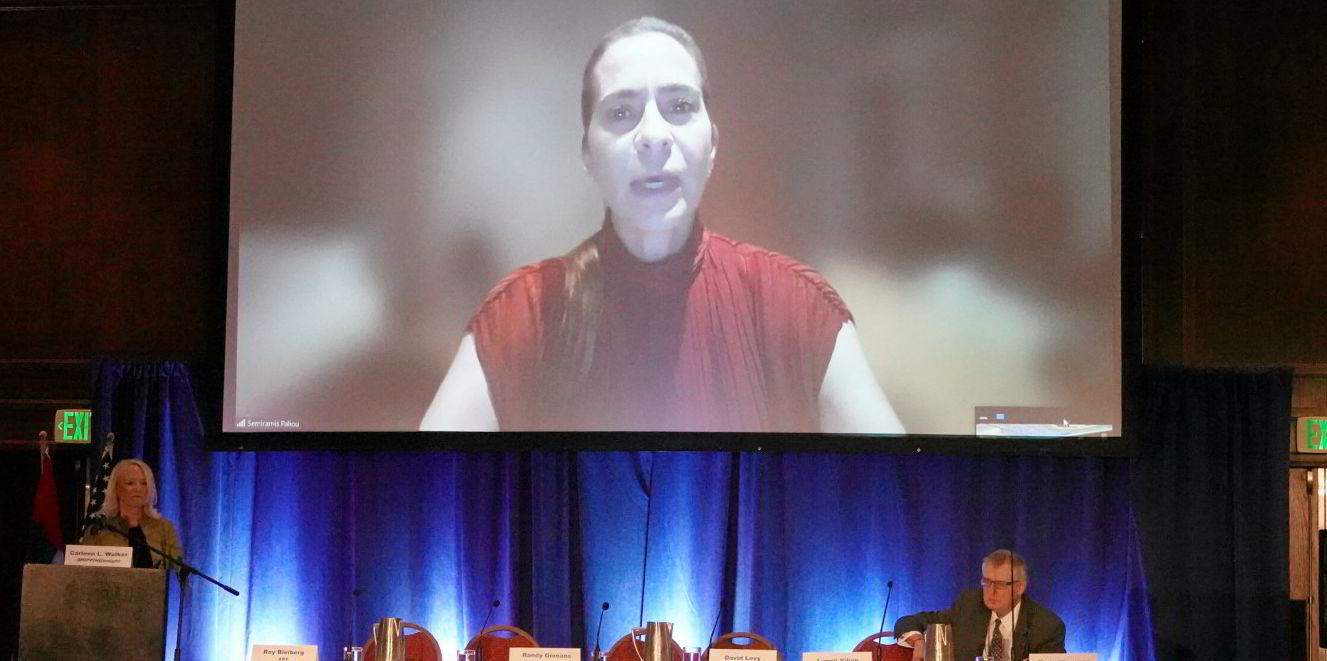 Semiramis Paliou: Sustainability is not a choice. It’s a ‘one-way road ...