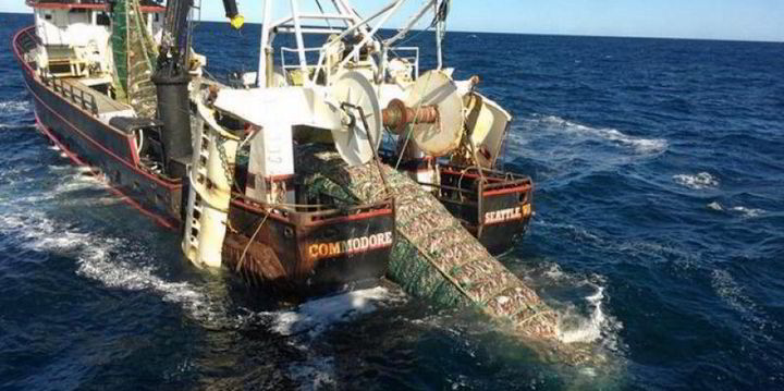 Key US advisory group recommends hike in Bering Sea pollock quota, but ...