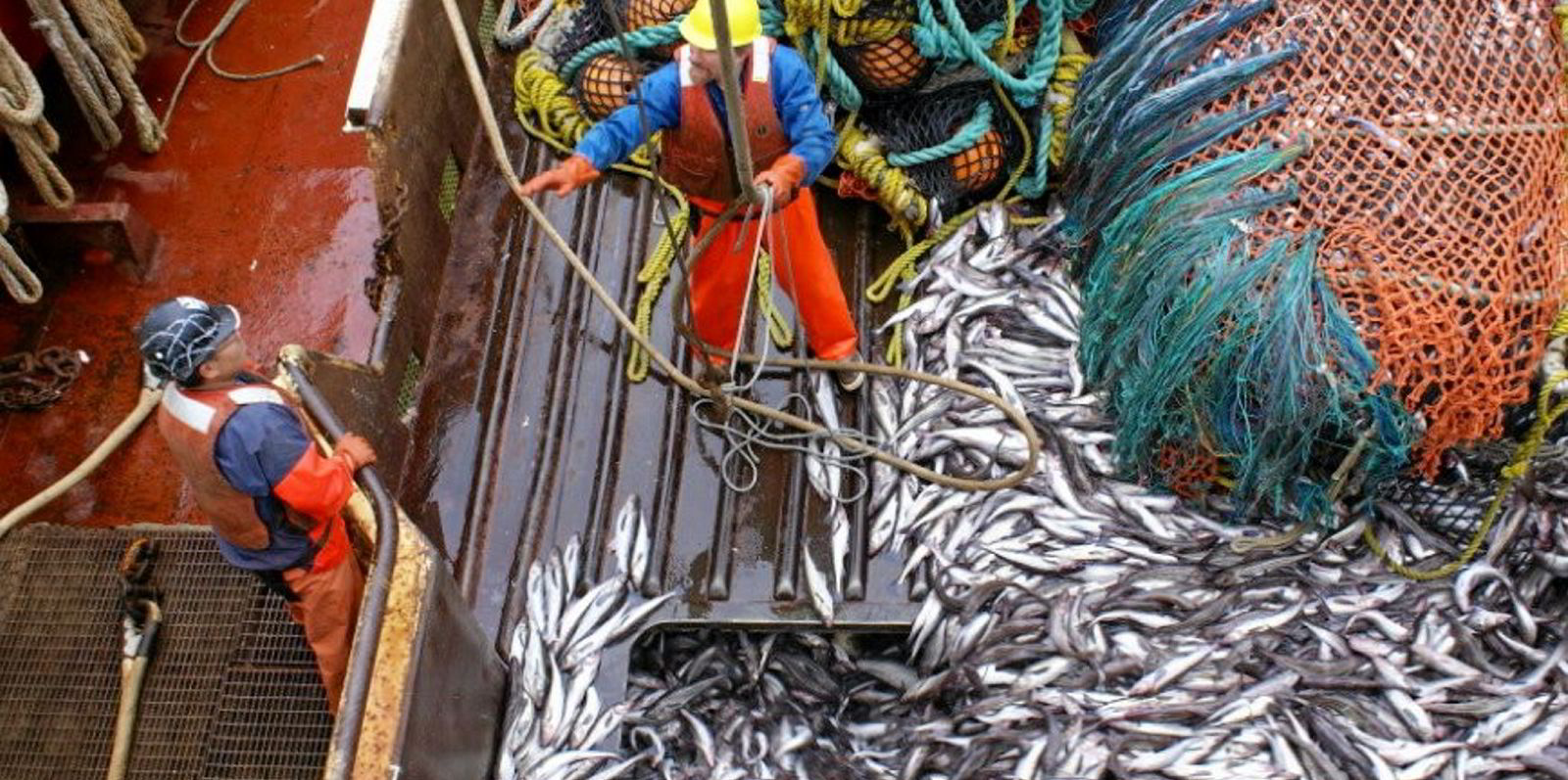 US Alaska pollock domestic fillet supply up 30 percent from last year ...