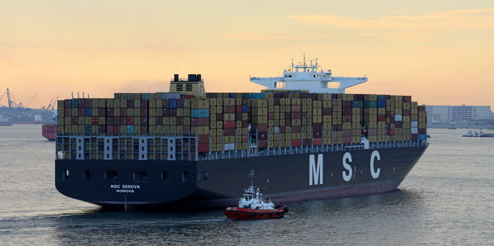MSC warns CII compliance could absorb up to 10% of capacity across ...