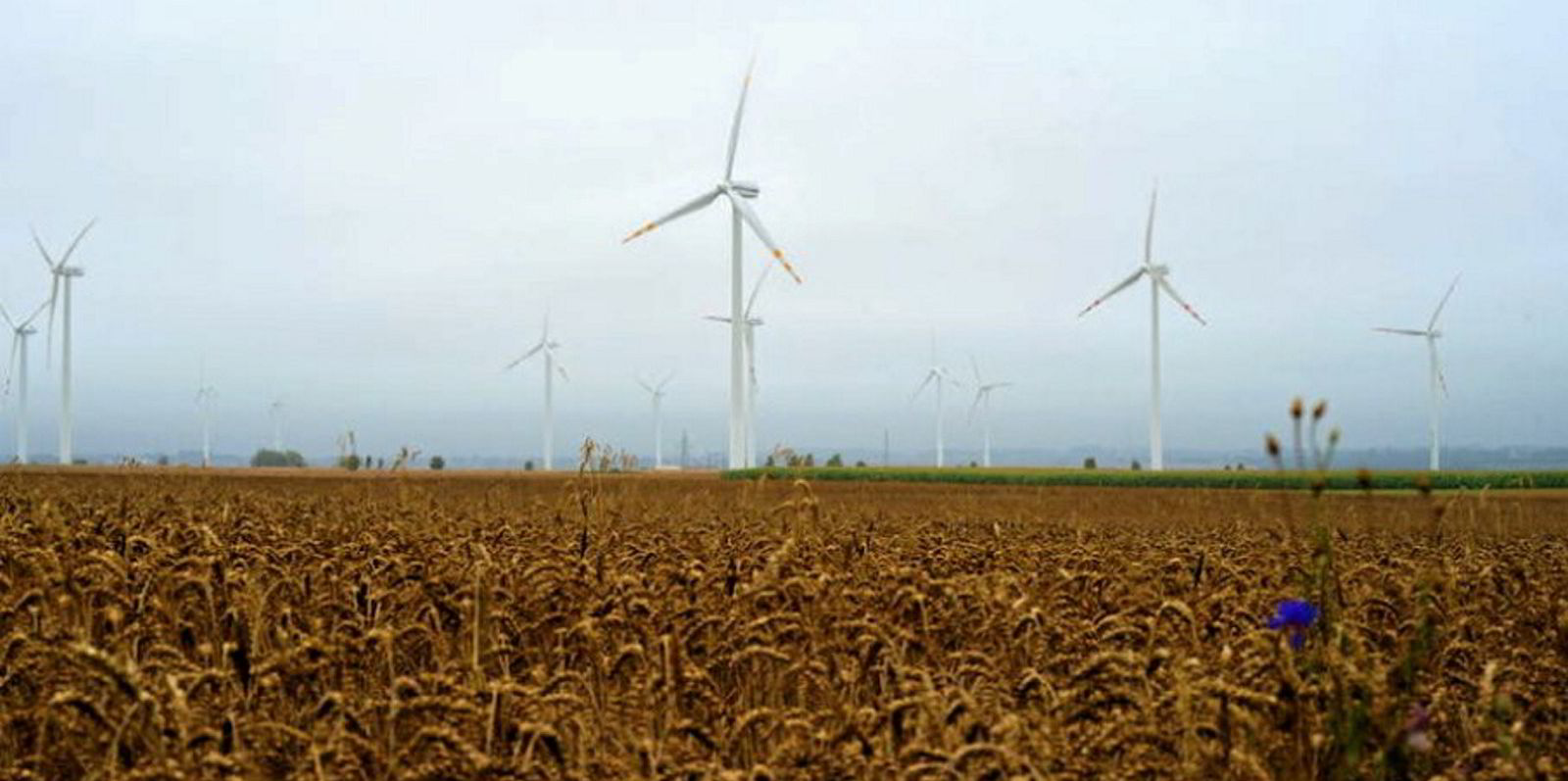CIP kick-starts first wind investment under ambitious Indian ...