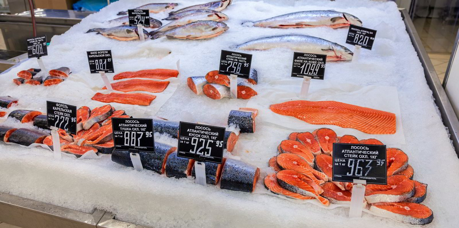 Russia importing increasing amounts of salmon from Chile, trout from ...