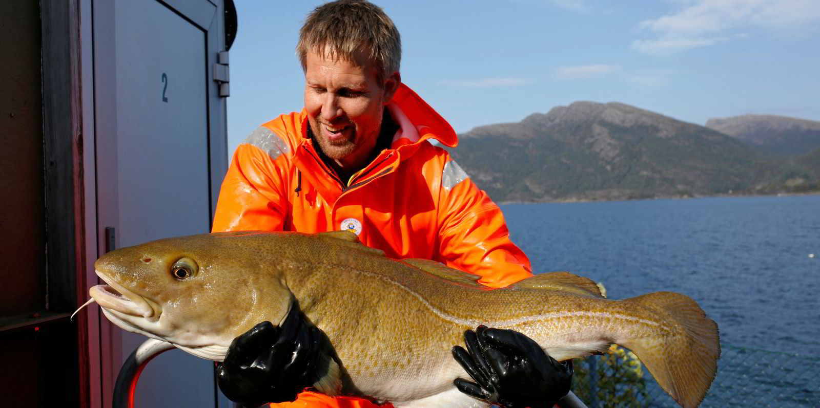 Tidlig makrellfiske har gitt rekordeksport av makrell | Fiskeribladet