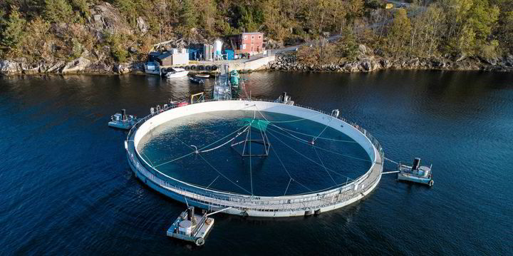 Mowi ready to deploy new tank technology after shuttering Scottish ...