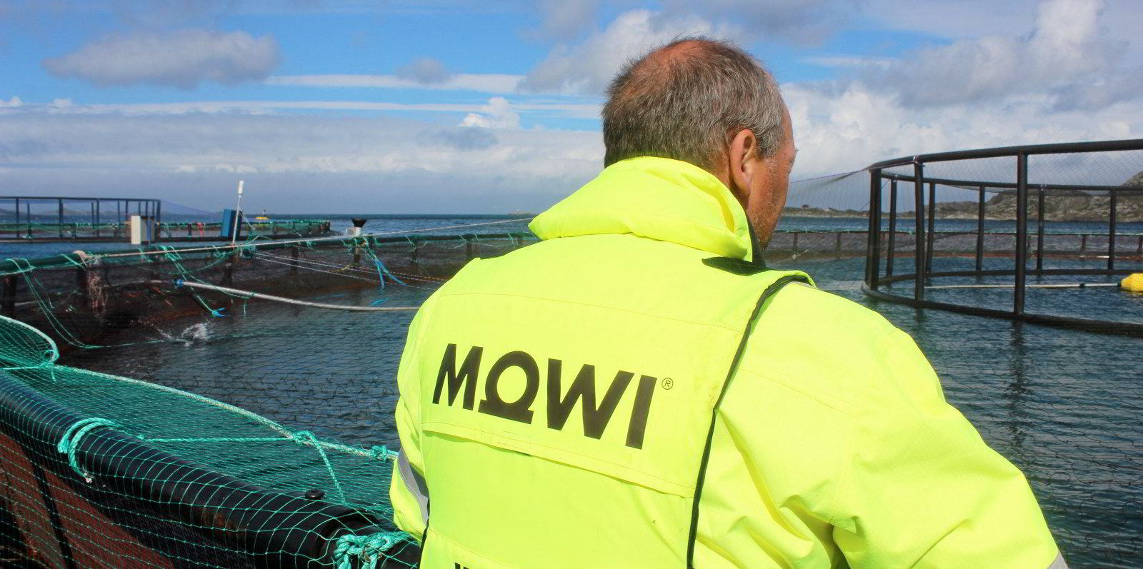 Salmon farmer Mowi tempts employees to take stake in company with ...