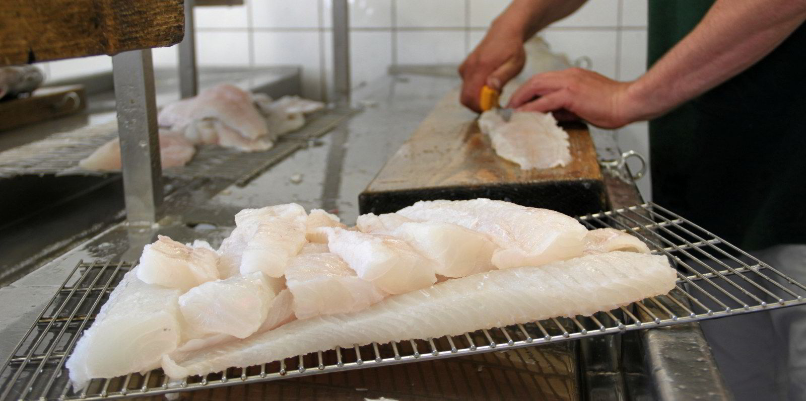 Mener det foregår bevisst overrapportering av fisk | Fiskeribladet