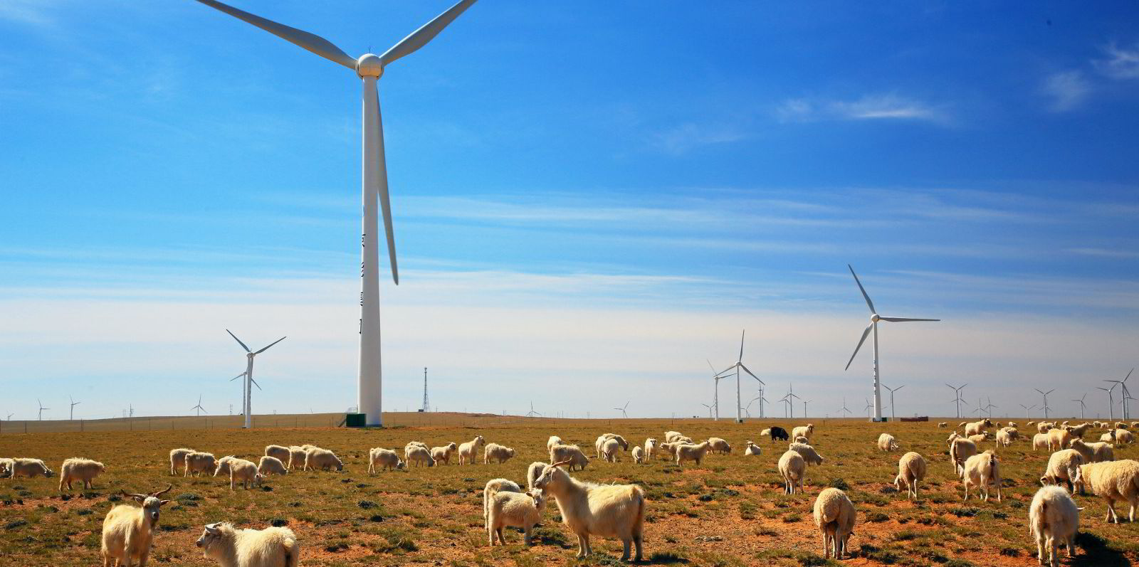 China will account for almost a third of the global wind market in the ...