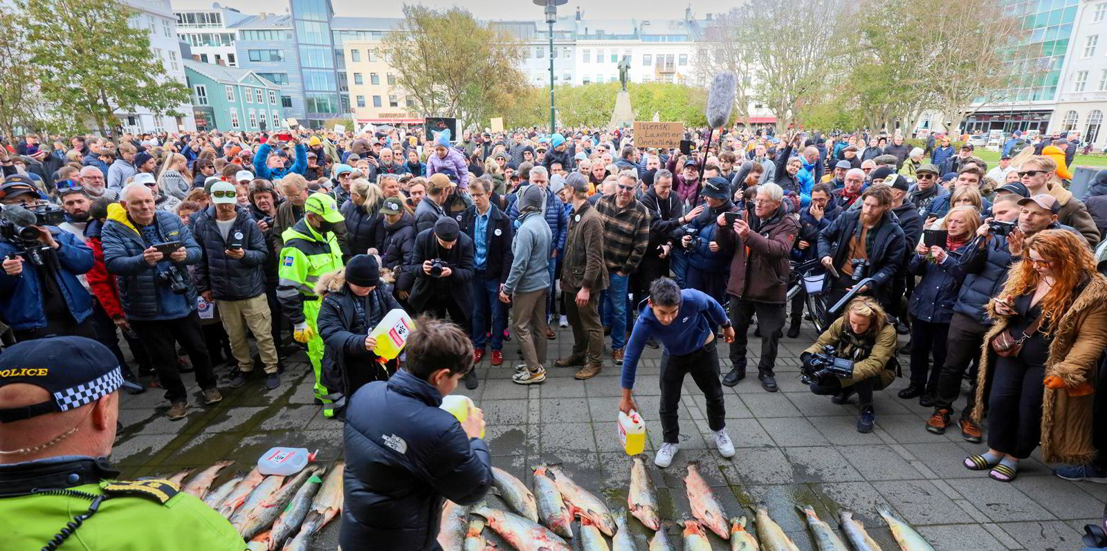 Protests in Iceland put Norwegian salmon farm operators in the ...