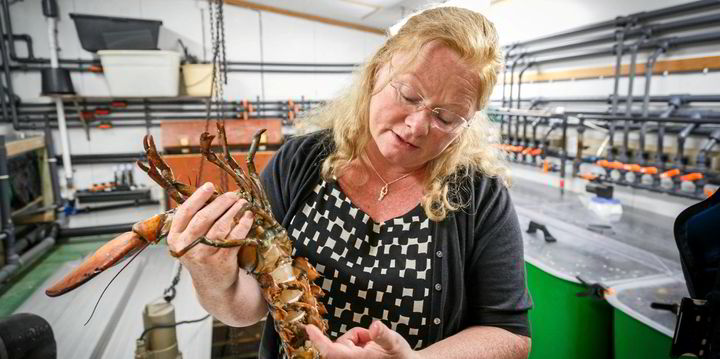 Ann-Lisbeth Agnalt skal lede havbruksgruppa i ICES | IntraFish.no