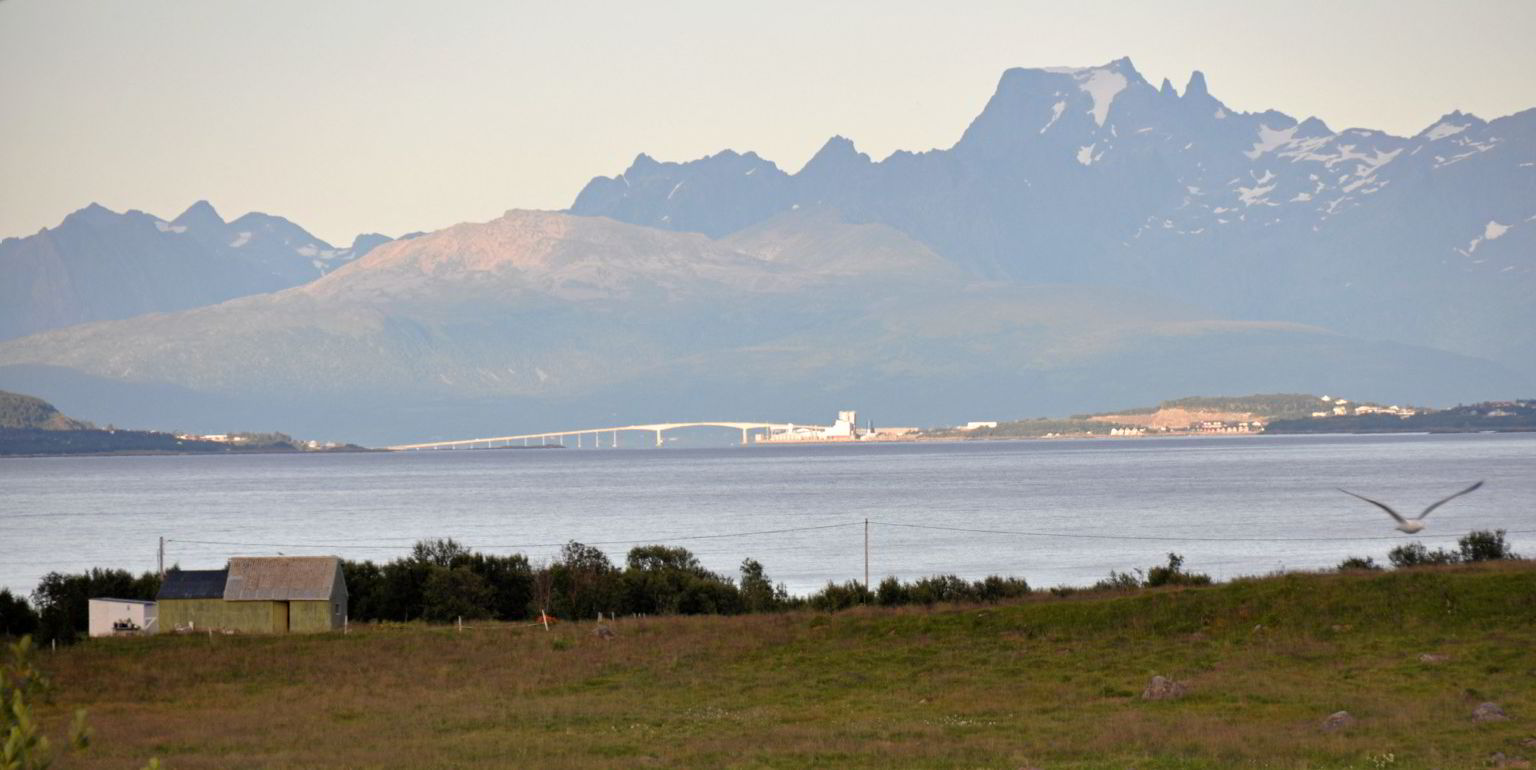 Det er duket for nok et rekordår for eksport av norsk laks og annen ...