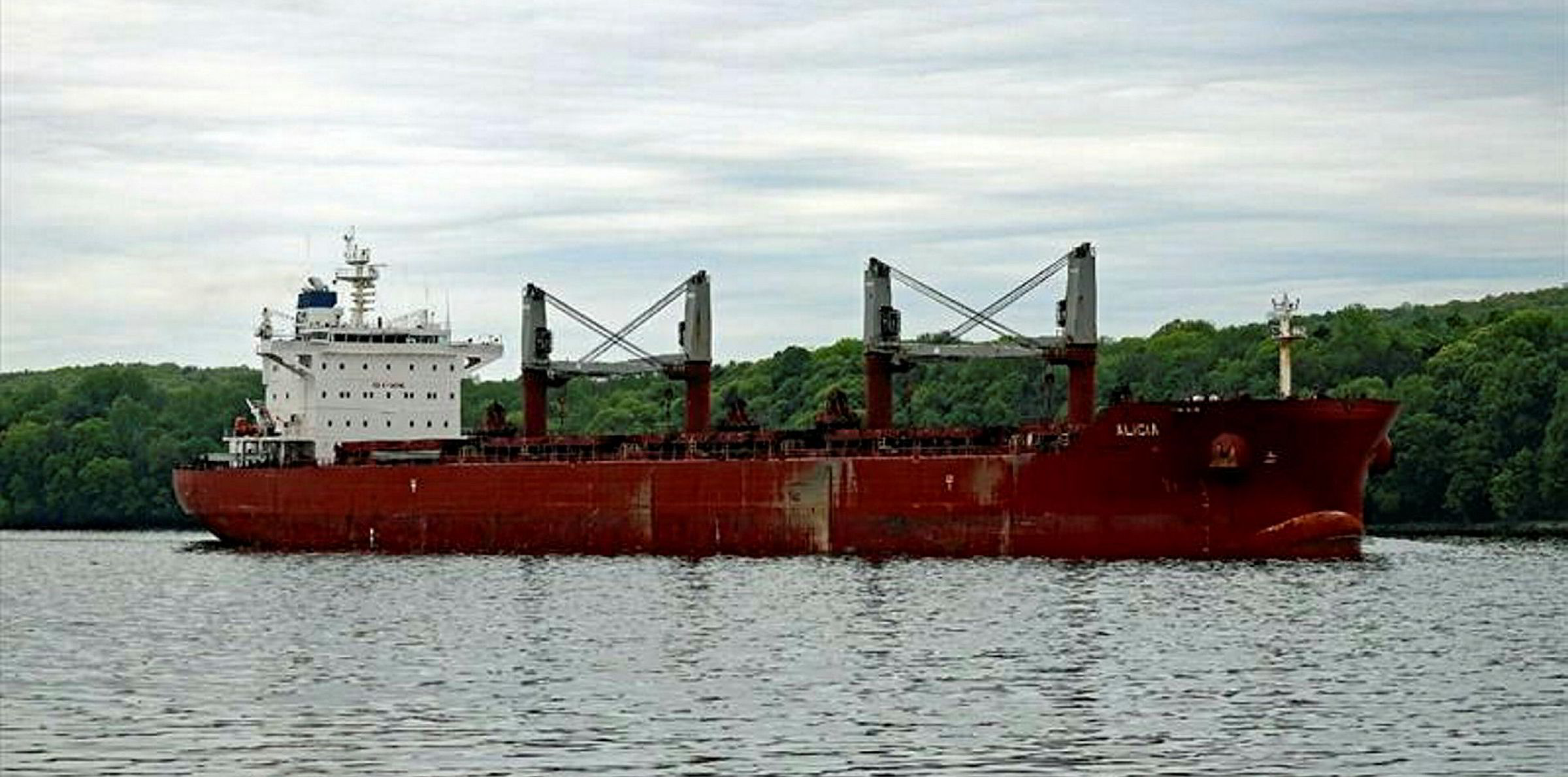Ocean Agencies orders ultramax bulker newbuildings at New Dayang ...