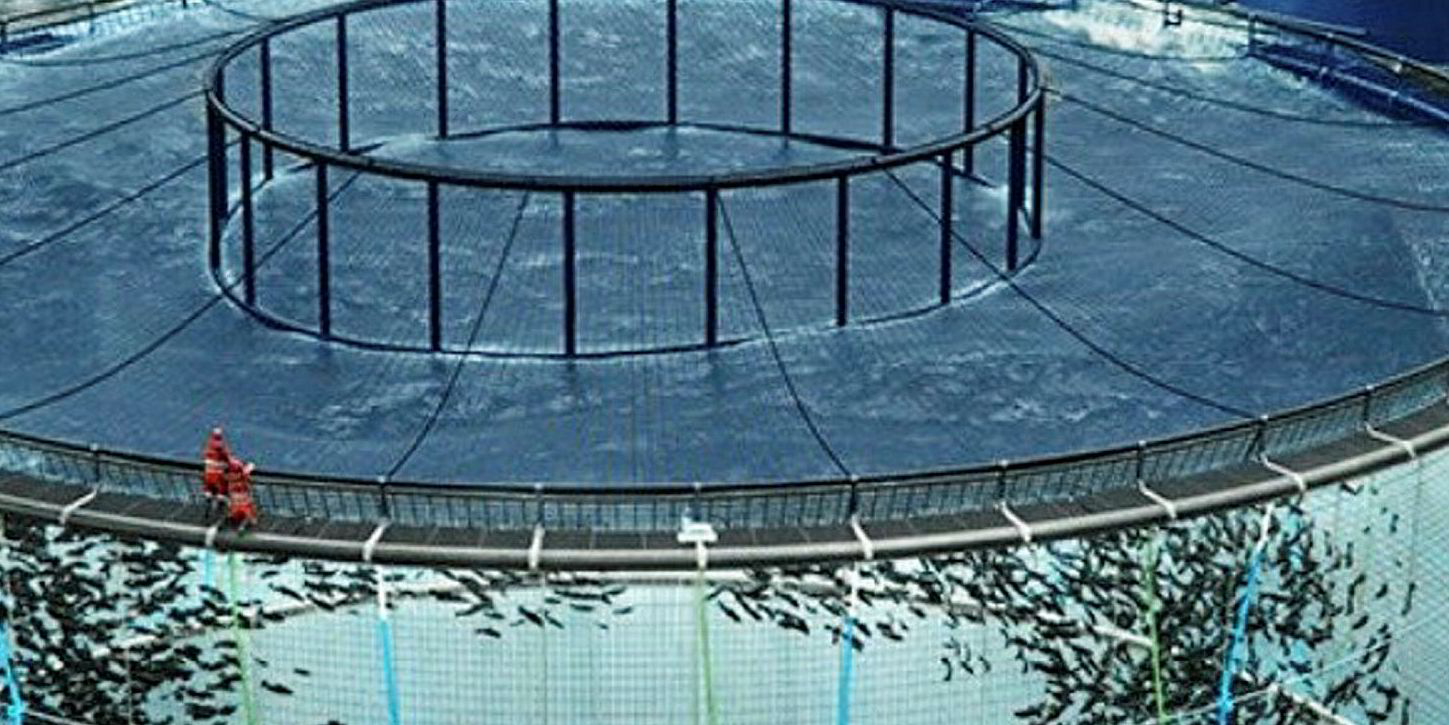 Owners of Newfoundland salmon farming project pocket $23 million in ...